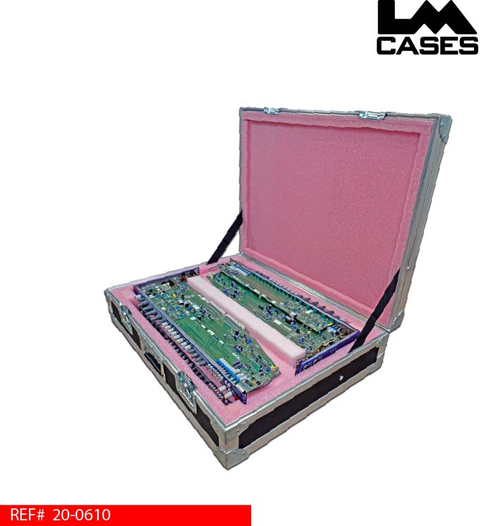 LM Cases: Products