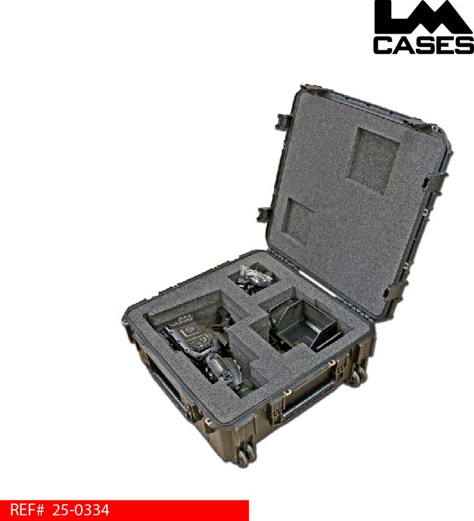 LM Cases